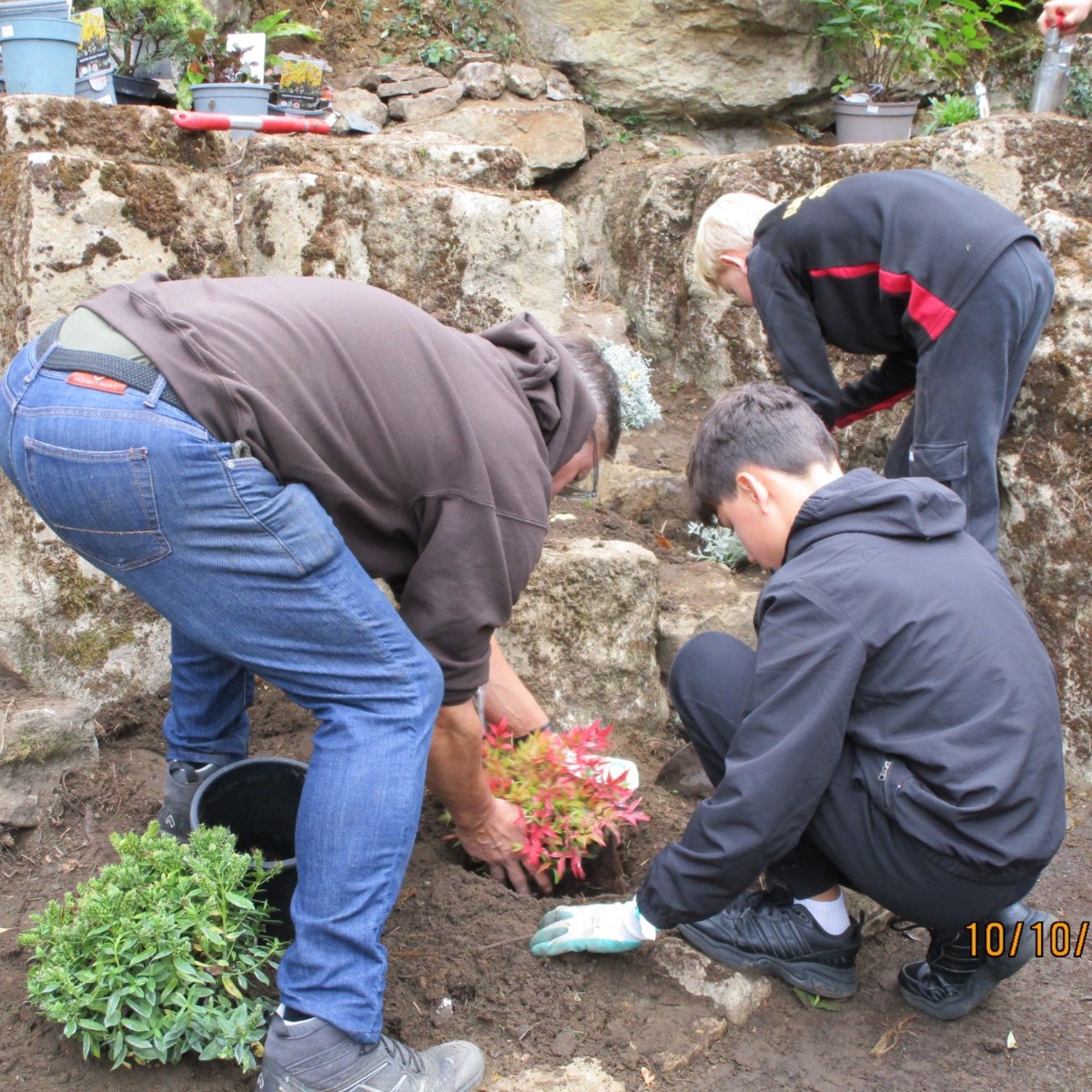 Valence School - Historic Rockery Restoration Project Launches at ...